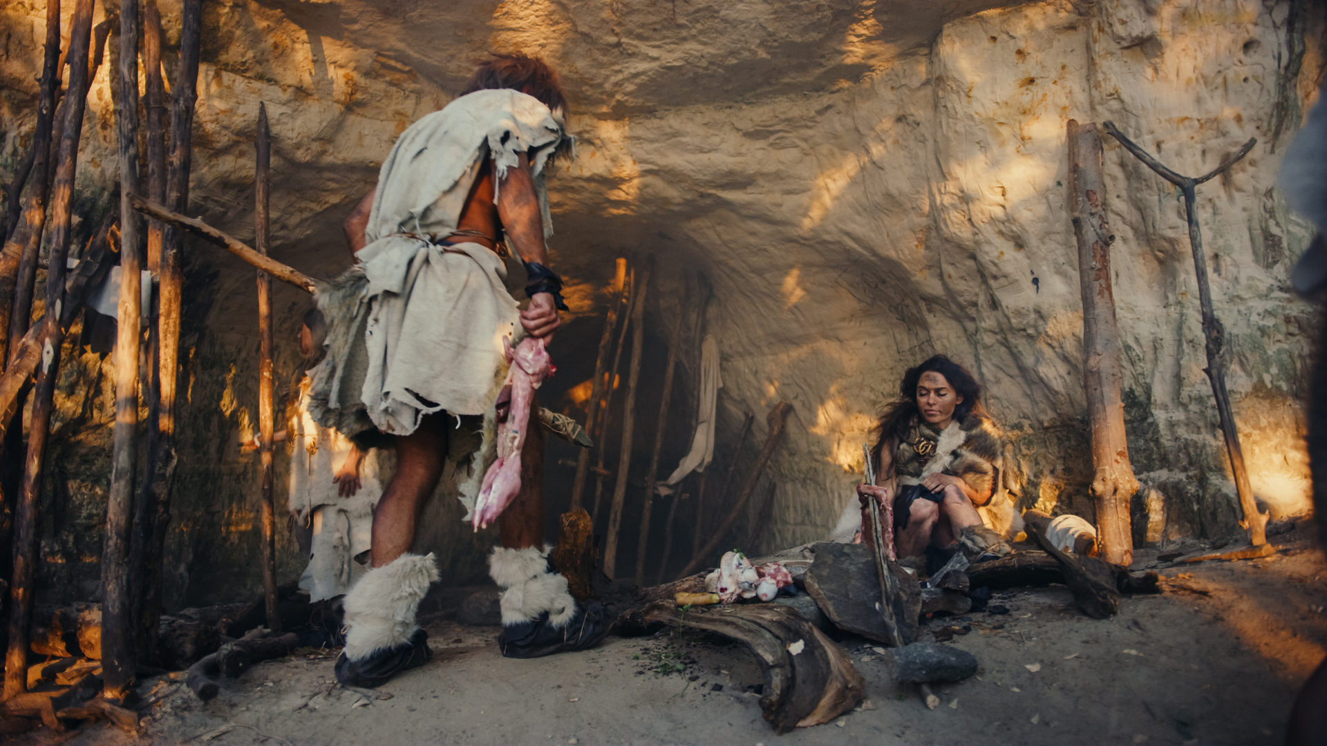 The Evolution of Homo Sapiens: Tracing Our Ancestral Origins – Decoy Heart